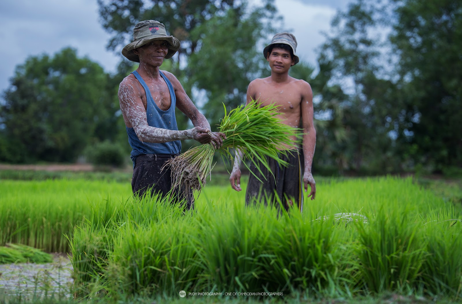 Cambodia farmers - Ploy foto