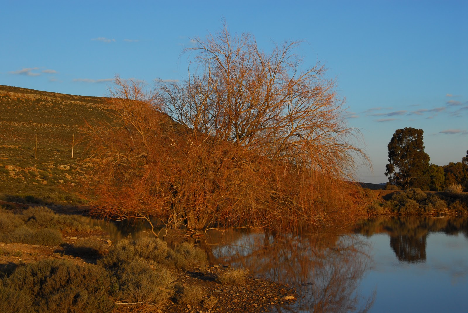 Postcards from a Small Planet: Sutherland Winter Light