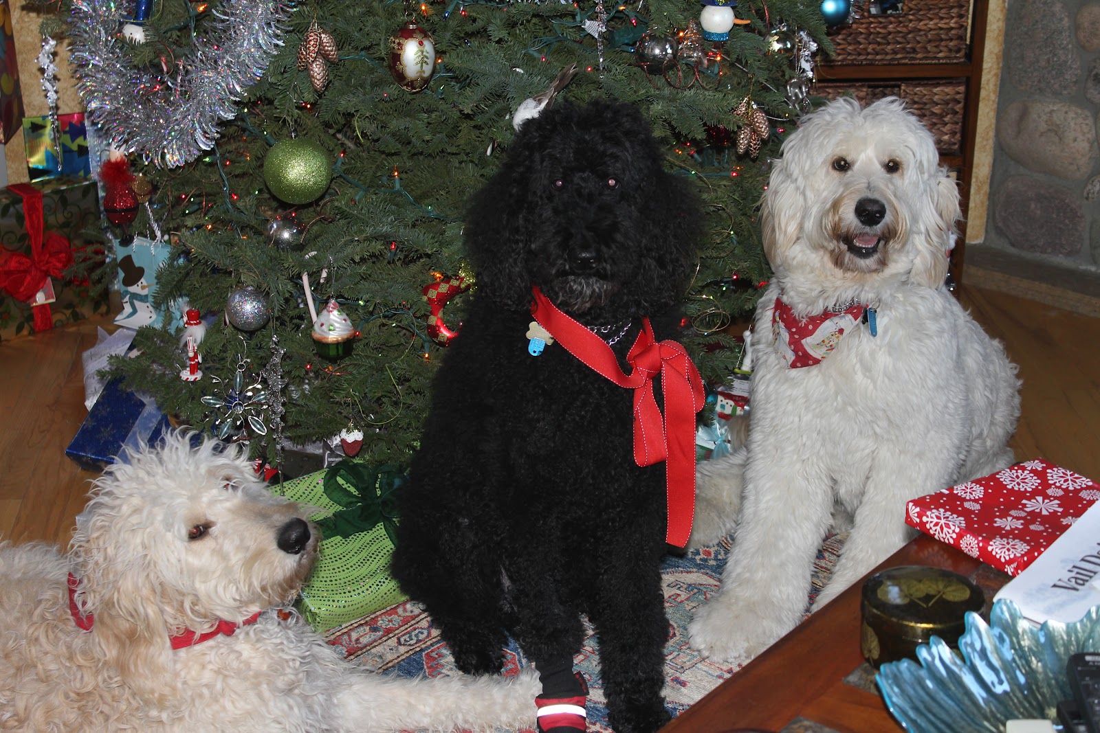 Green Garden Productions