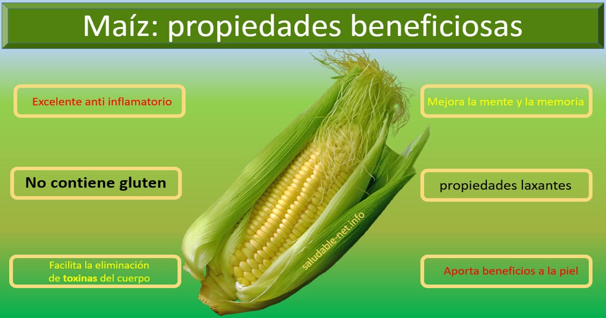 Maiz: Propiedades y beneficios para el cuerpo - Propiedades y ... Maiz: Propiedades y beneficios para el cuerpo - Propiedades y ...