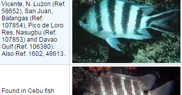 List of Marine (Saltwater) Fish in the Philippines - LISTPH