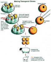 lebioging.blogspot.com: BIOTEKNOLOGI