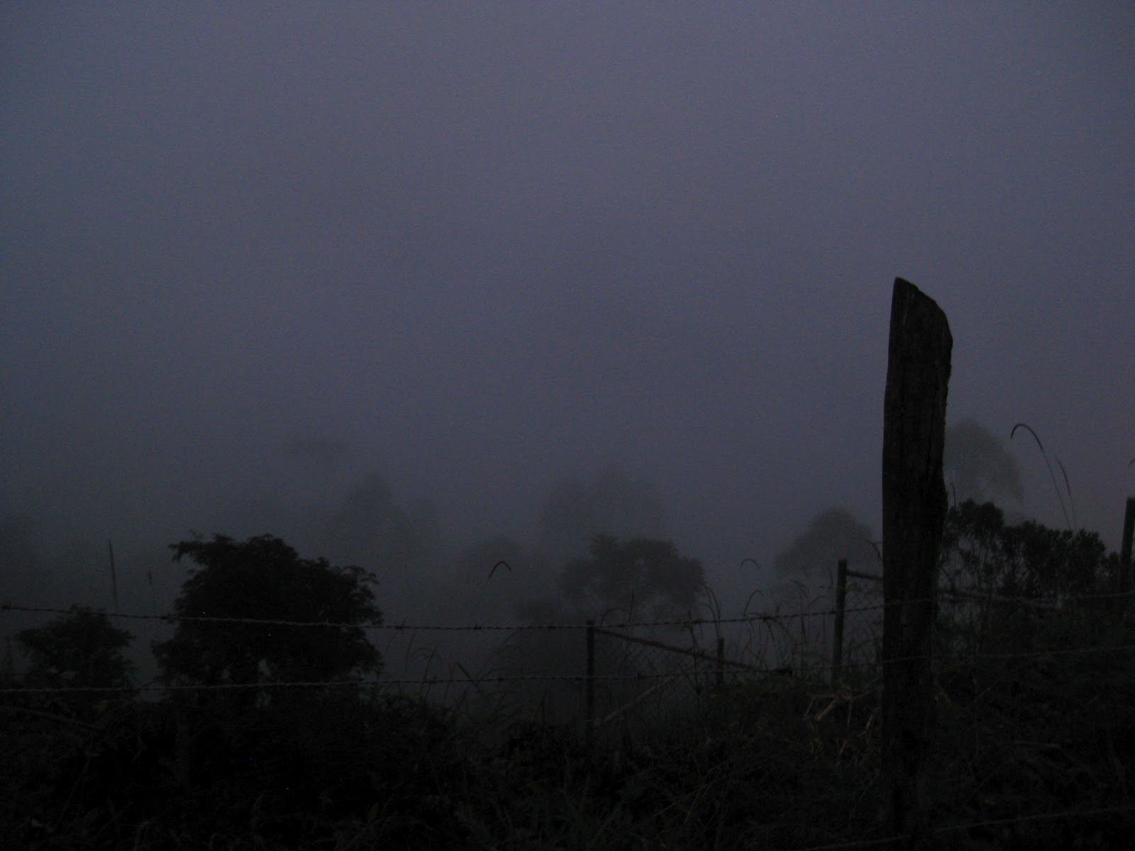 Jordan in Ecuador: Paccha, El Oro