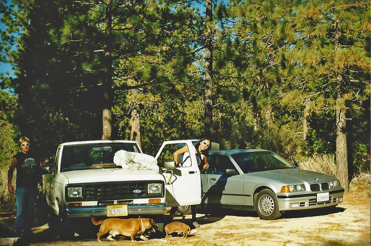 Western Sojourns: Travels with Camissonia: HORSE FLATS/MT. HILLYER ...