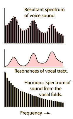 Mountain Man Linguistics