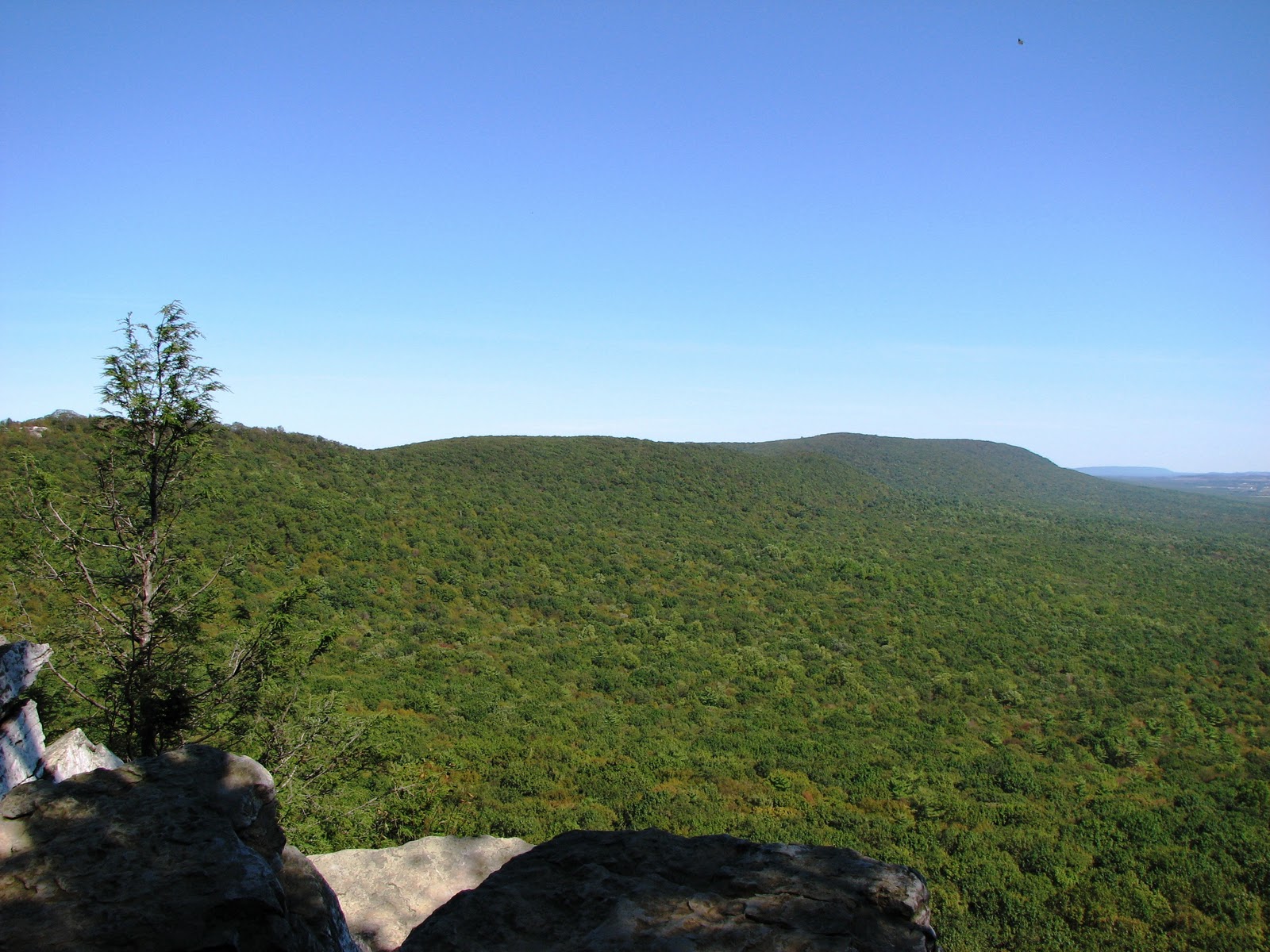 KGMom Musings: DAY TRIP--Hawk Mountain