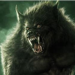 Entre Luz e Trevas: Tipos De Lobisomens