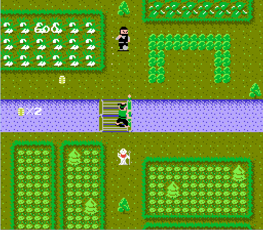 Classic Gaming Blog: Ikki (Famicom Review)