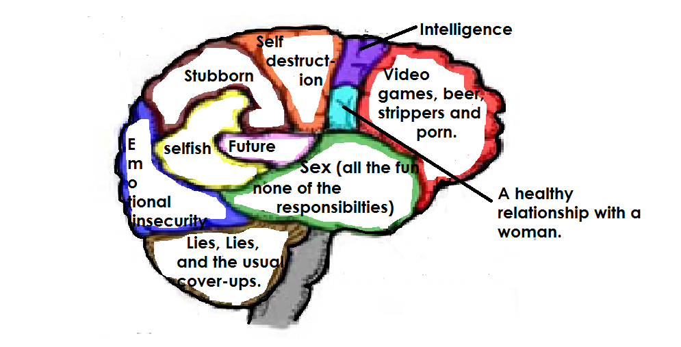 Two Beans Or Not Two Beans: The Brain Anatomy of a Man-Child