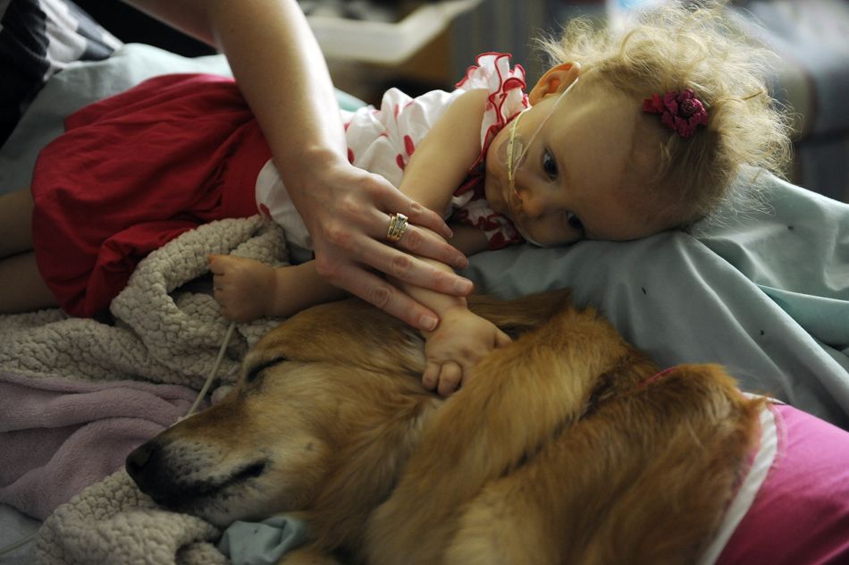 White Wolf : Chicago Hospital now allows Pets to visit Patients