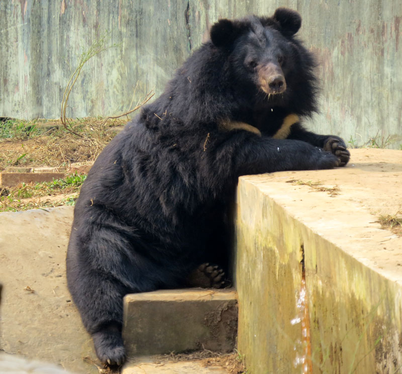 Just About Everything: Tripura; Sepahijala Wildlife Santuary, Boxanagar ...