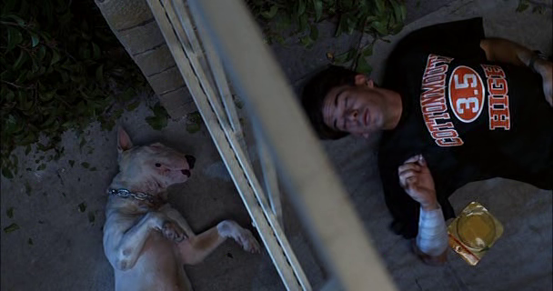 The Department of Afro American Research, Arts and Culture