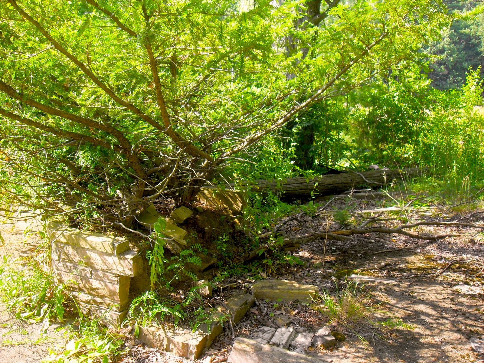 ART SKOOL DAMAGE : Christian Montone: Memento Mori: The Ghost Of Angela ...