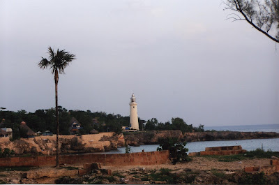 Lighthouses, Birds, Wildlife, Oh My!