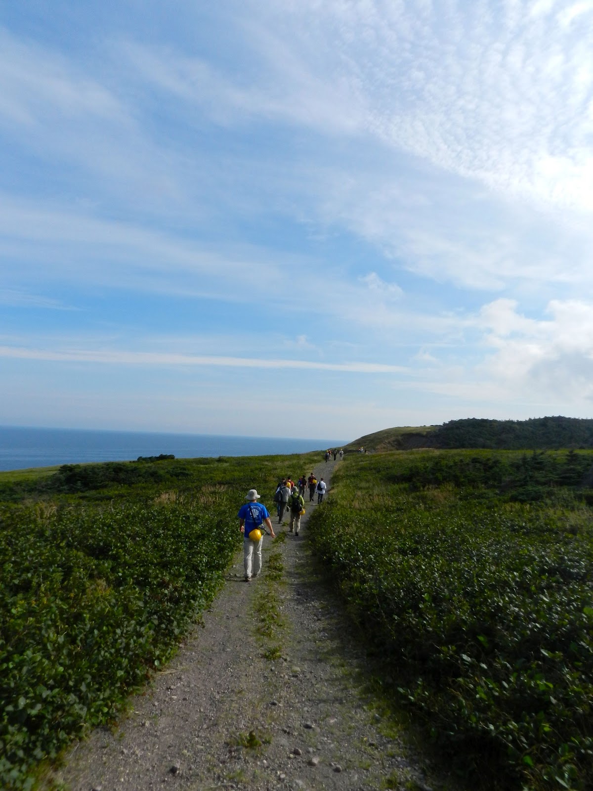 Coffee With Hallelujah: FORTUNE HEAD ECOLOGICAL RESERVE: STANDING AT ...