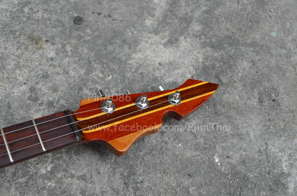 World Music Instrumental: Phin [Ethnic Guitar of Thailand]