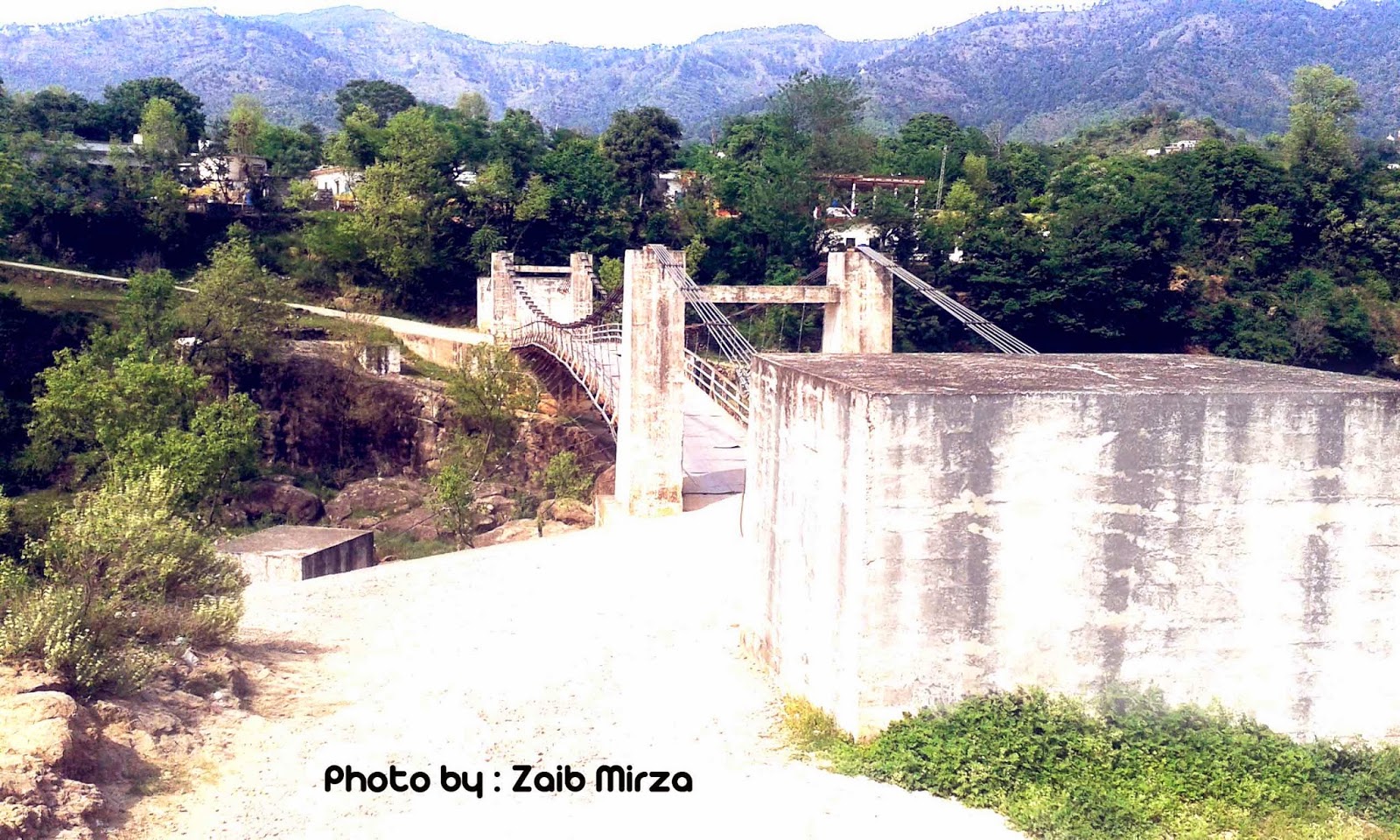 Panjera - JungleKey.in Image