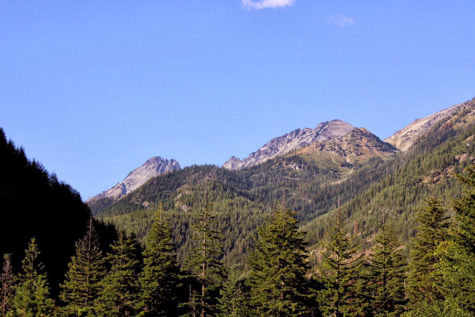 Nature's Playgrounds: Laboring at 9,000ft - Leory Creek Basin, Seven ...