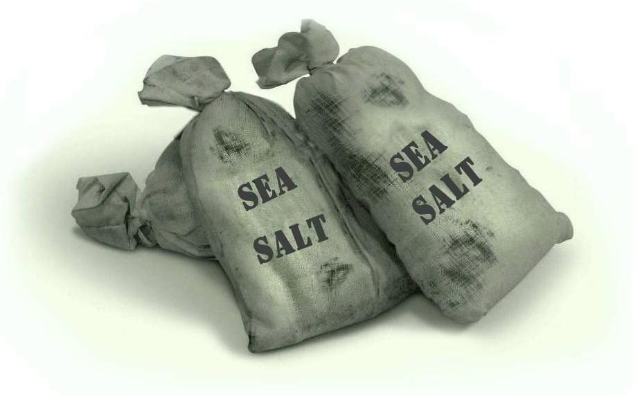 A Woodsrunner's Diary: Carrying Salt.