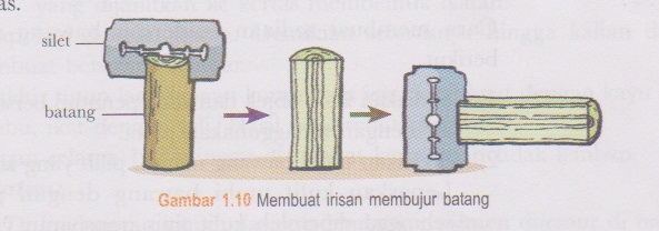 PELAJARAN IPA BIOLOGI KELAS 7