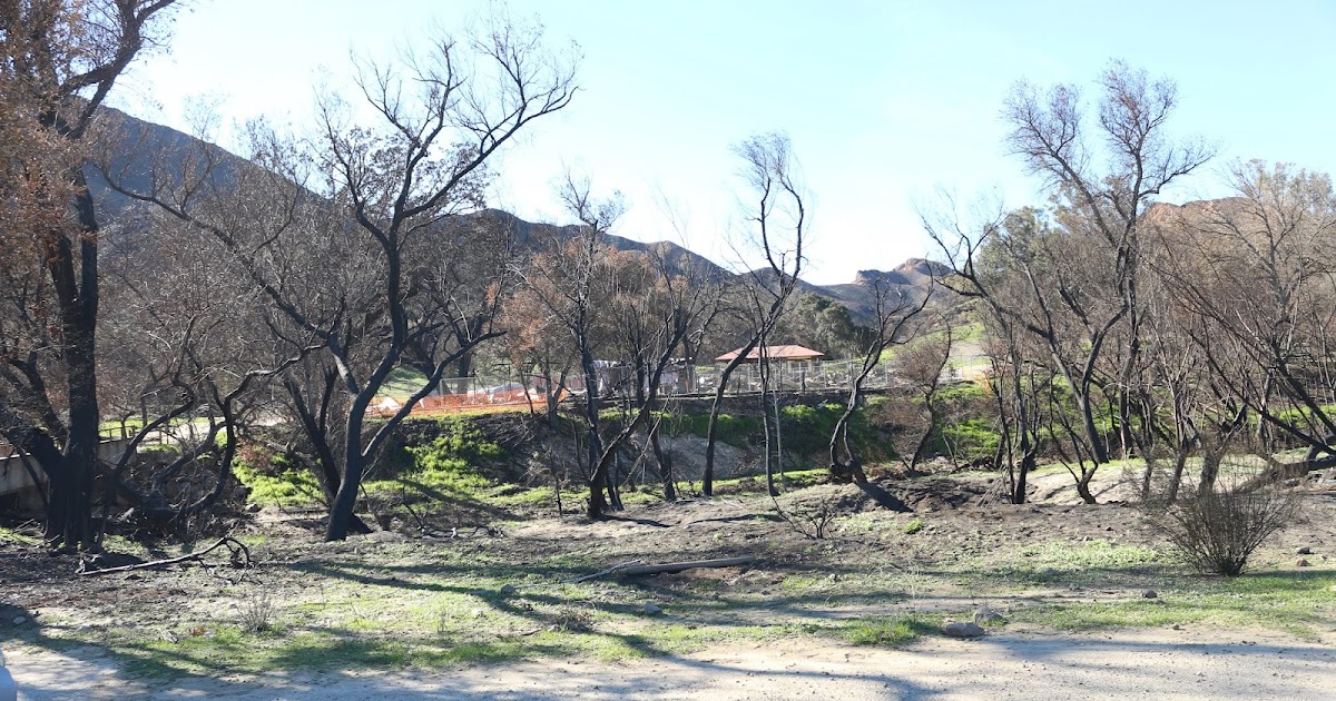 JessStryker.com: Paramount Ranch After the Woolsey Fire