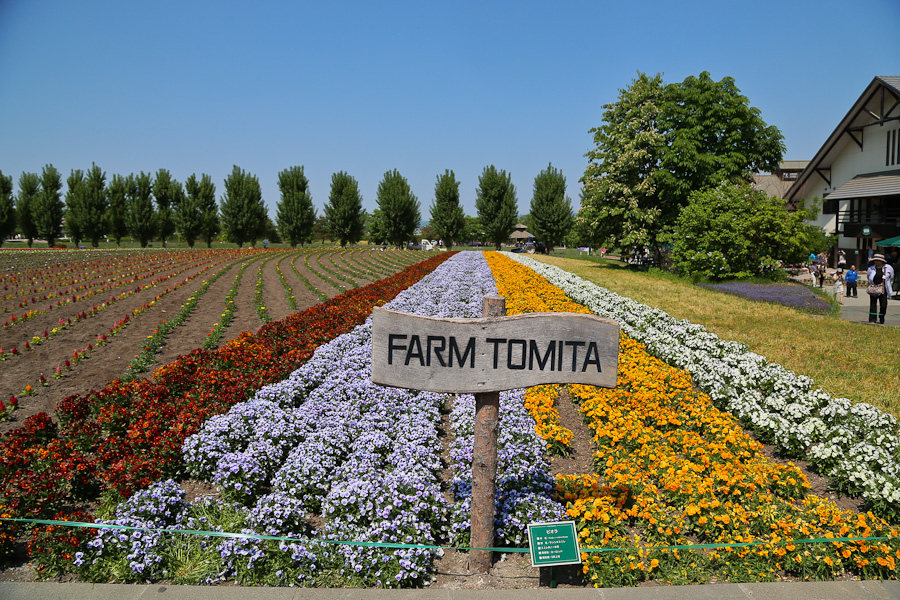 Horizontally yours: Farm Tomita, Naka Furano, Hokkaido, Japan