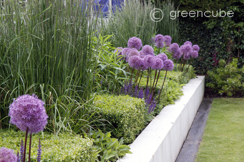 Modern Planting - Purple, White, Silver and Pink