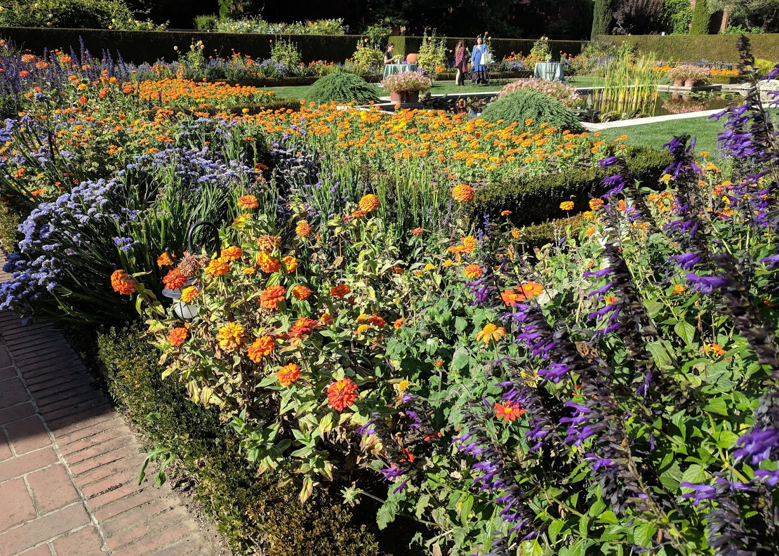 Eden By The Bay: Filoli in Fall