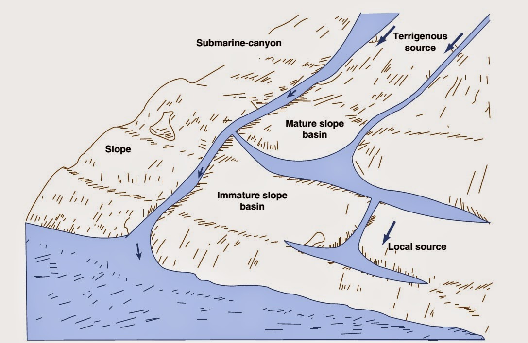 Learning Geology: Classification of sedimentary basins