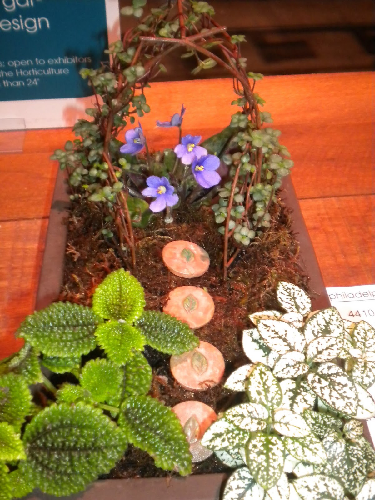 Rosemary's Sampler: Miniature Gardens