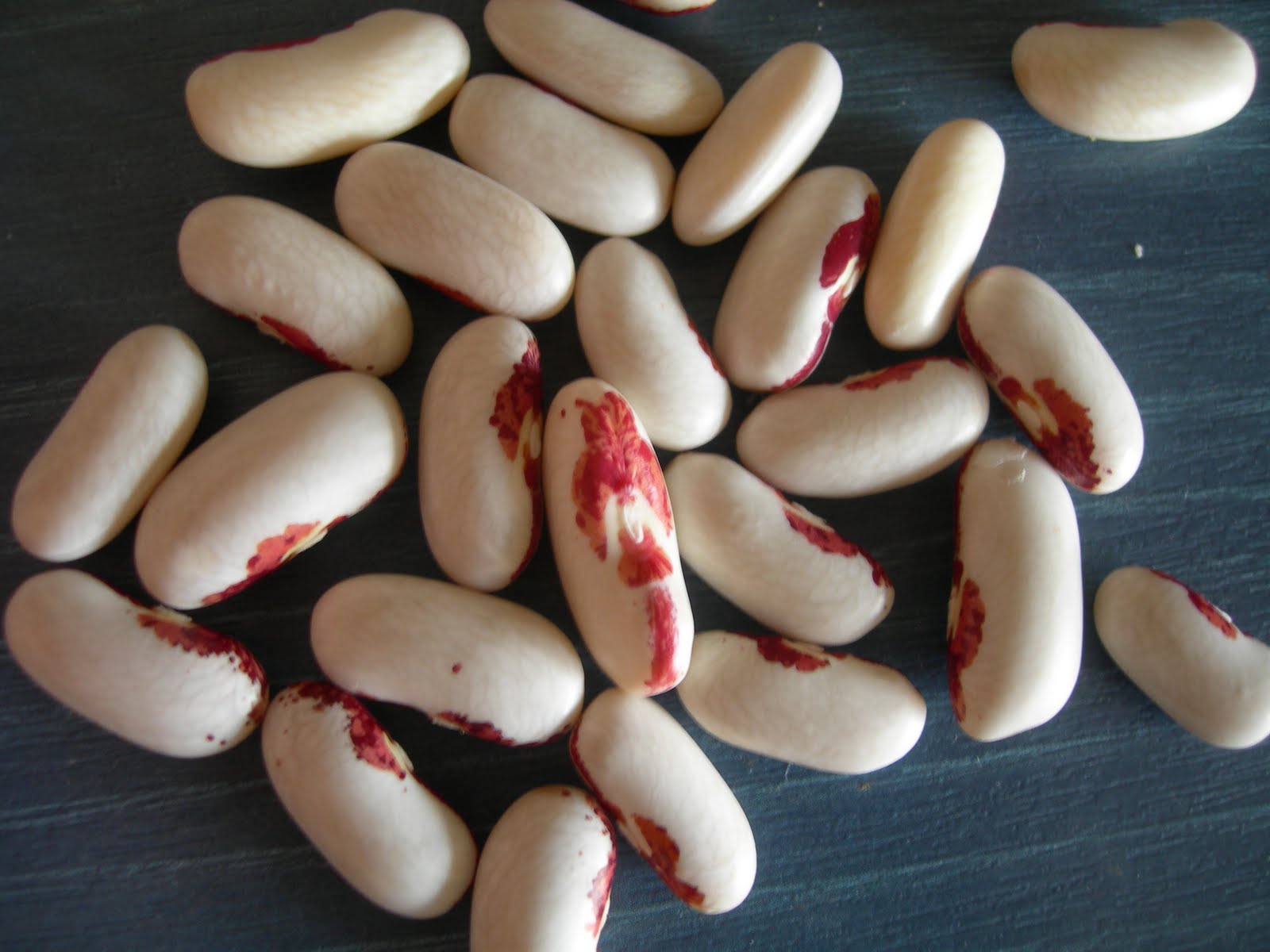 Un jardin potager dans le Midi: Récolte des haricots grain