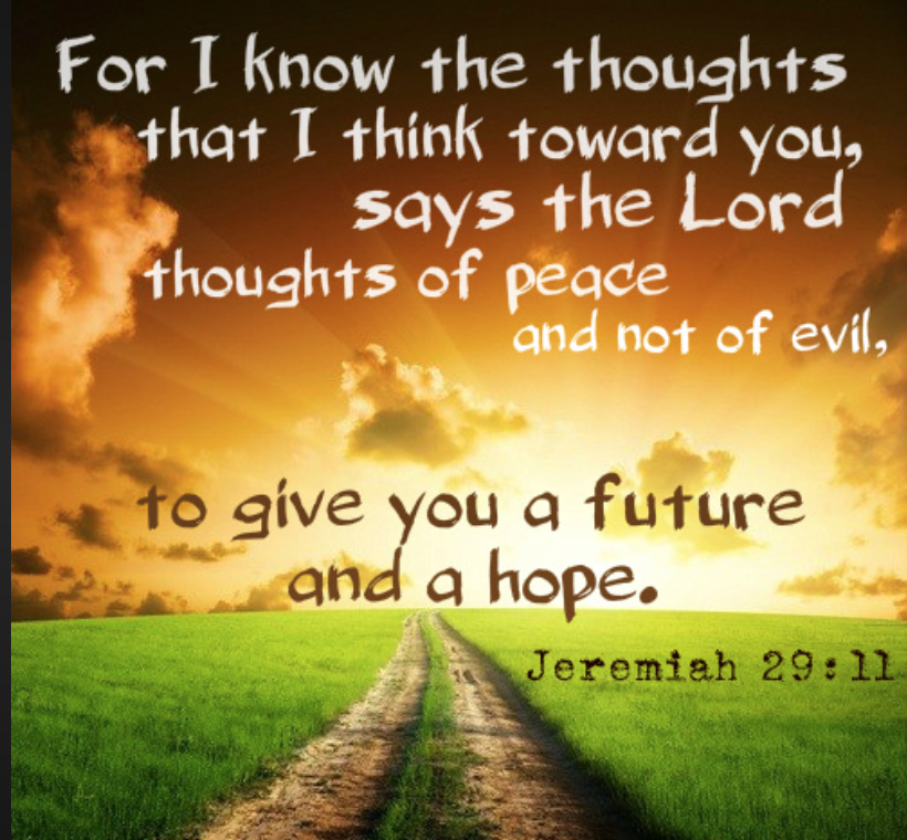 Preparing for Sunday Mass Notebook: Memory Verses for 16th Sunday in ...