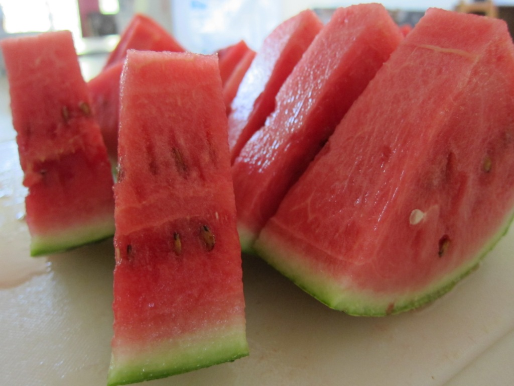 The Choate Family: Watermelon Break