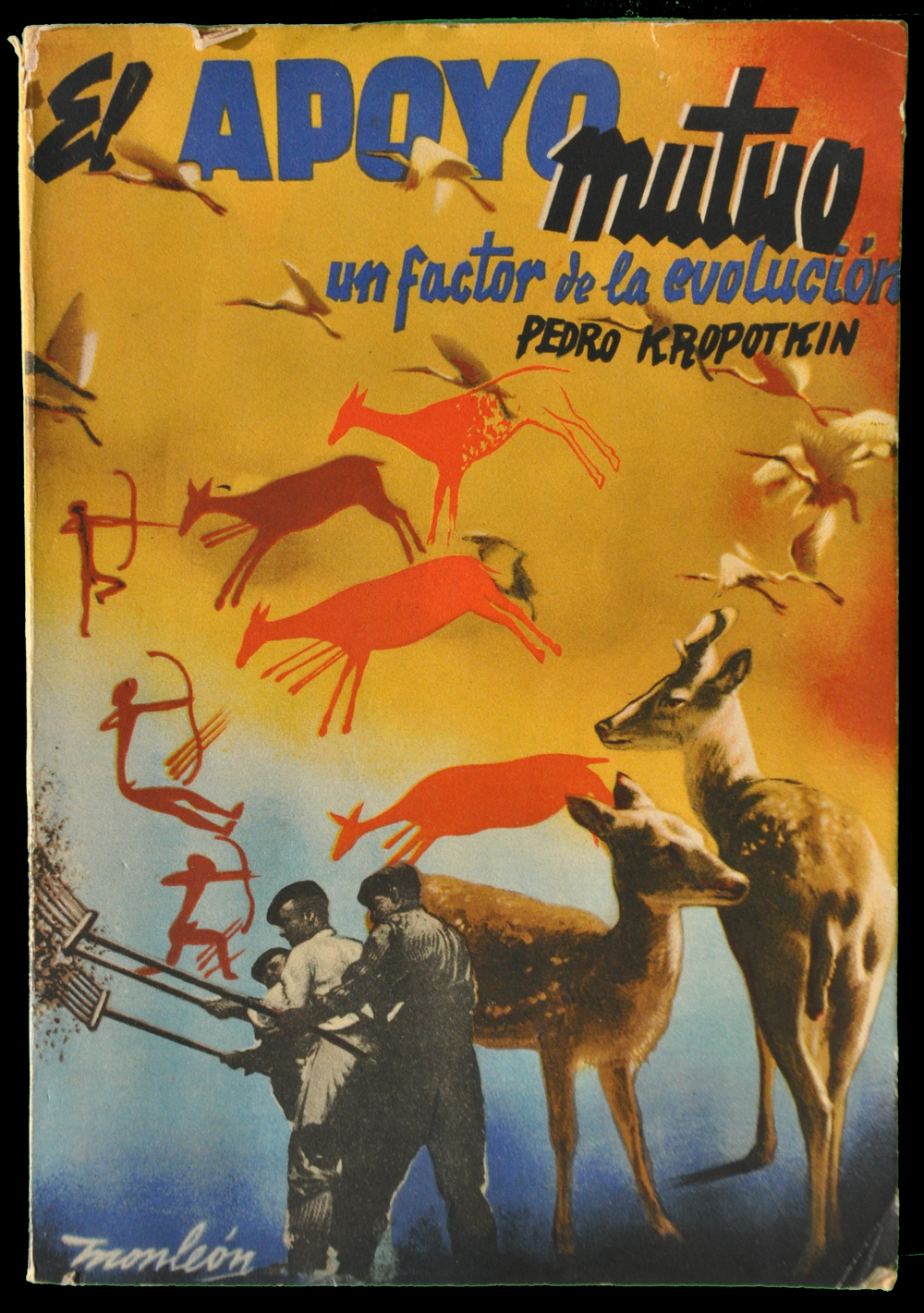 CSOA Apoyo Mutuo: Red de Apoyo Mutuo