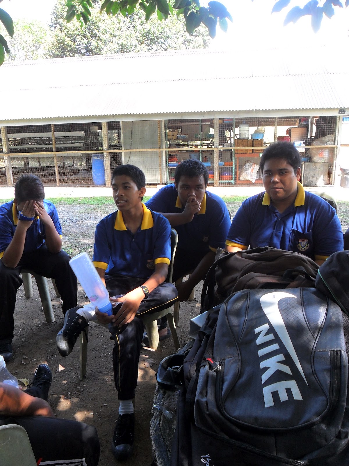 Agroindustri Ruminan: Gambar