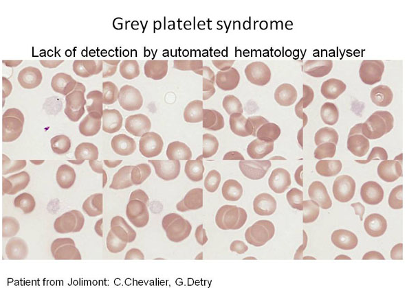 VETERINARY HEMATOLOGY DEXTERVET