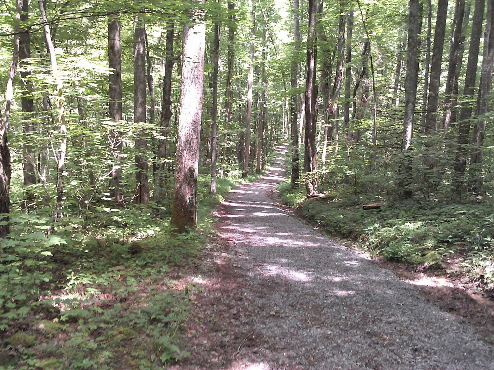 Hikes: Low Gap - AT - Snake Den Ridge