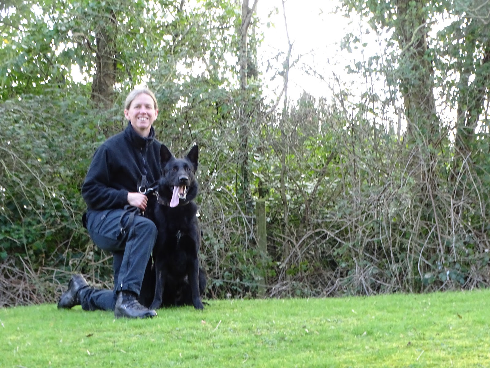 Cornwall, Devon and Dorset Police Dog Section: Ronnie, Nato and Lenny ...