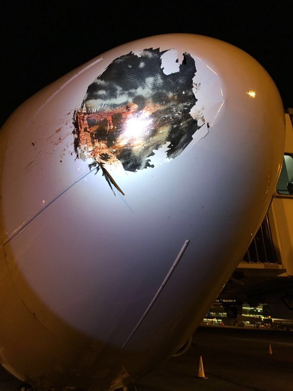 EgyptAir plane left with bloody dent after bird strike