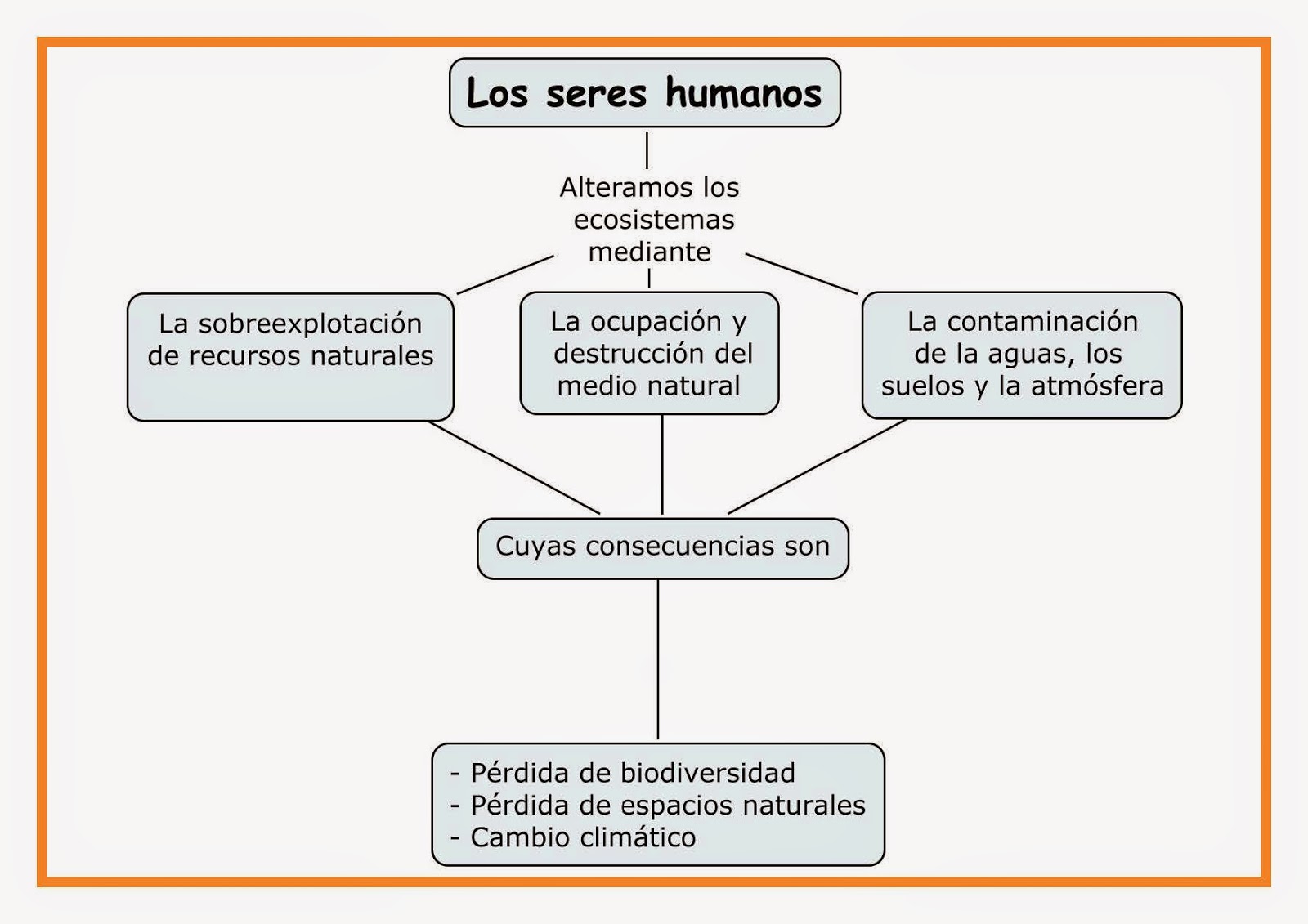 EL BLOG DE SEXTO : T-5 EL SER HUMANO EN LOS ECOSISTEMAS