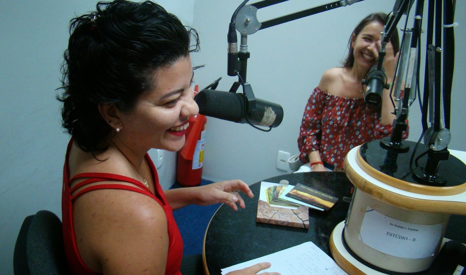 Raymundo Netto: AlmanaCULTURA: Rádio AlmanaCULTURA: Programa “Autores ...