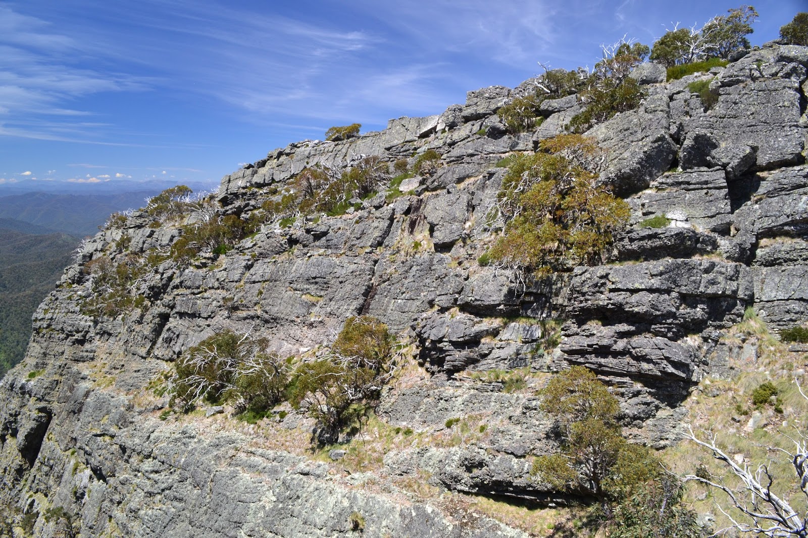 Goin' Feral One Day At A Time: Mount Cobbler, Alpine National Park ...