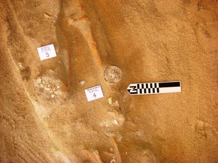 The USC-NM Archaeological Fieldwork in San Remigio: The Burial Orientations