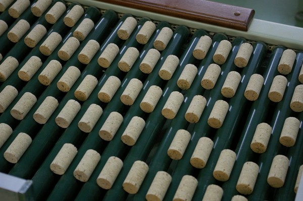 @: Zanimljivosti o pampuru