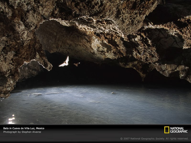 To Infinity And...In Theory: Livin' Life to the Extremophile ...