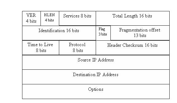 Brittle Things: IPv4 Datagram
