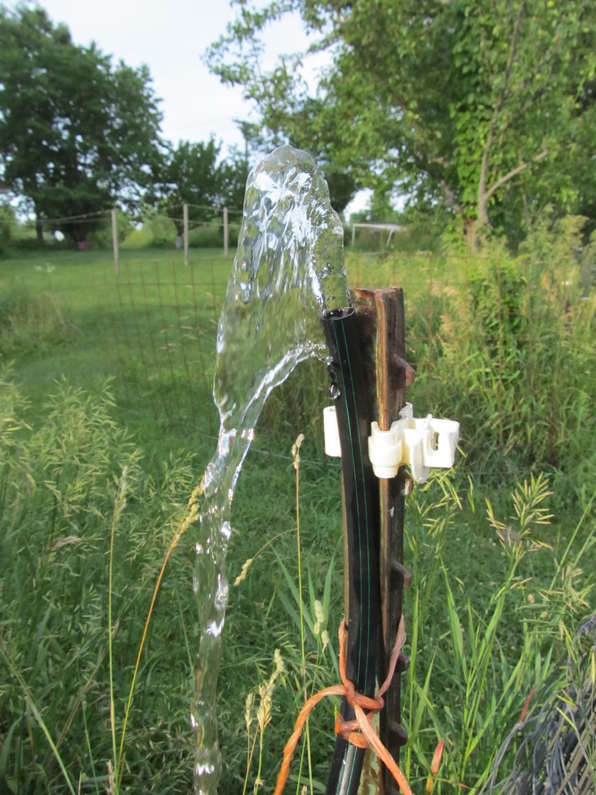 Eaton Rapids Joe: Rain, beautiful rain