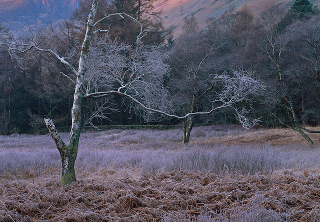 Photography by Tim Parkin