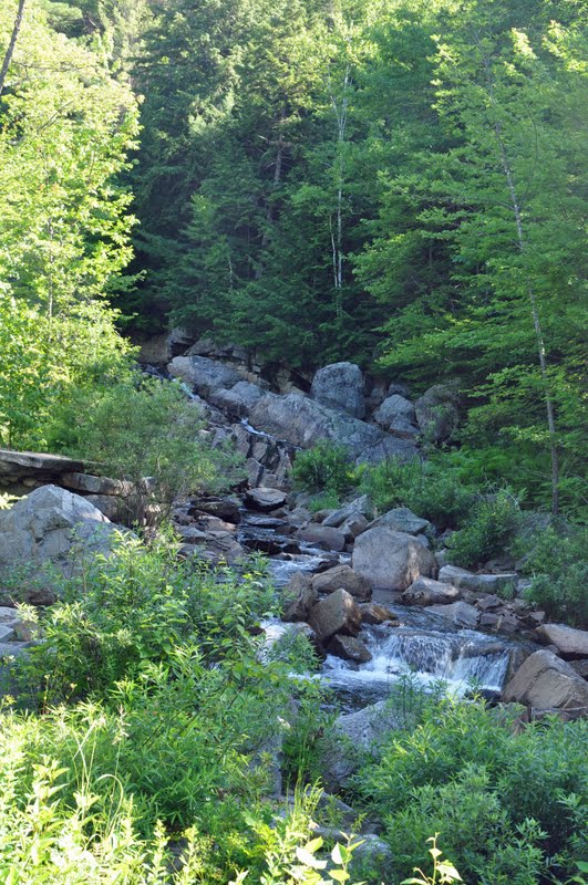 Mary Byrom: Waterfall on the Wildcat