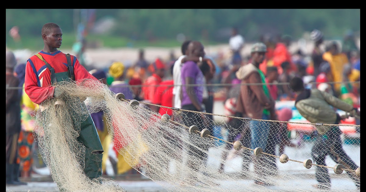 El Blog de Phyllobates: The Gambia VIII: Tanji Beach + Pirang Forest ...
